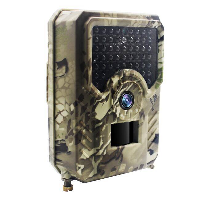 High-Performance Trail Cameras for Wildlife & Property | OzSpy